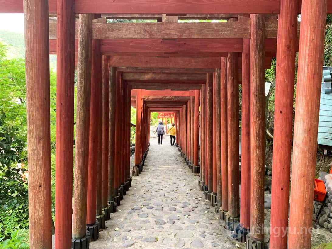 Yutoku Inari Shrine in Saga: One of Japan’s Three Great Inari Shrines ...