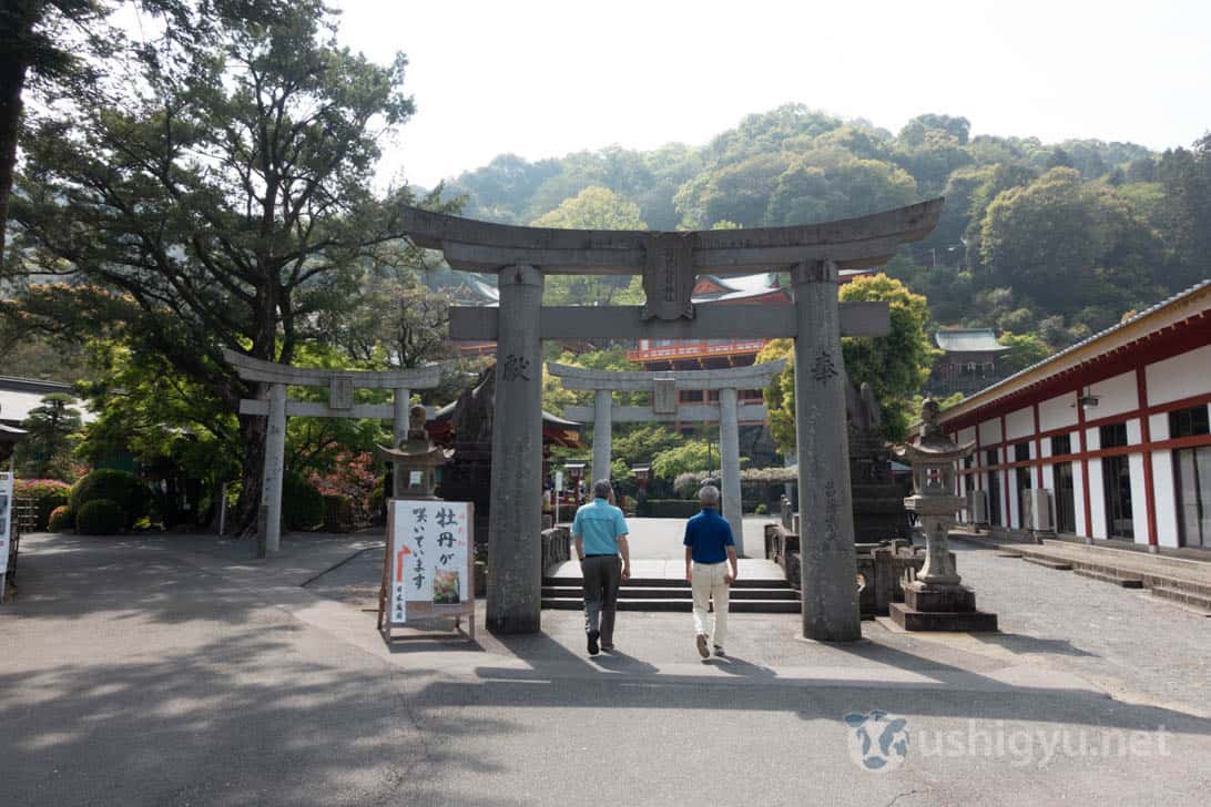 Yutoku Inari Shrine in Saga: One of Japan’s Three Great Inari Shrines ...