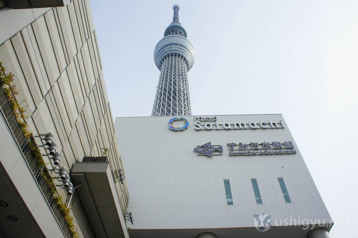 Klook（クルック）テーマパークや入場チケットからホテル宿泊予約まで、旅のお供に超便利なサービス | ushigyunet